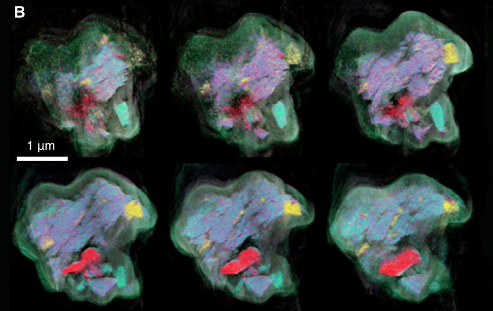 Multimodal X-ray and Electron Microscopy of the Allende Meteorite – STROBE