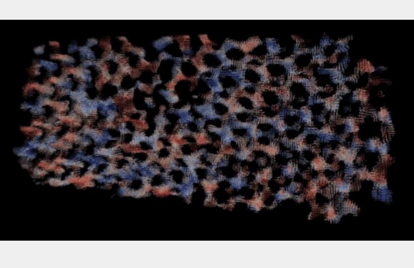 Imaging Topological Magnetic Monopoles in 3D – STROBE