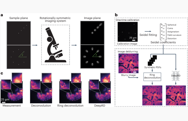 Ring deconvolution microscopy: exploiting symmetry for efficient ...