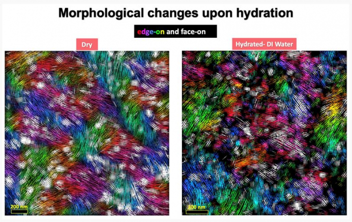 STROBE – Building the Microscopes of Tomorrow