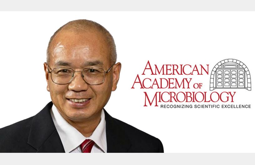 Congrats to Hong Zhou for Being Named a 2024 Fellow of the American ...