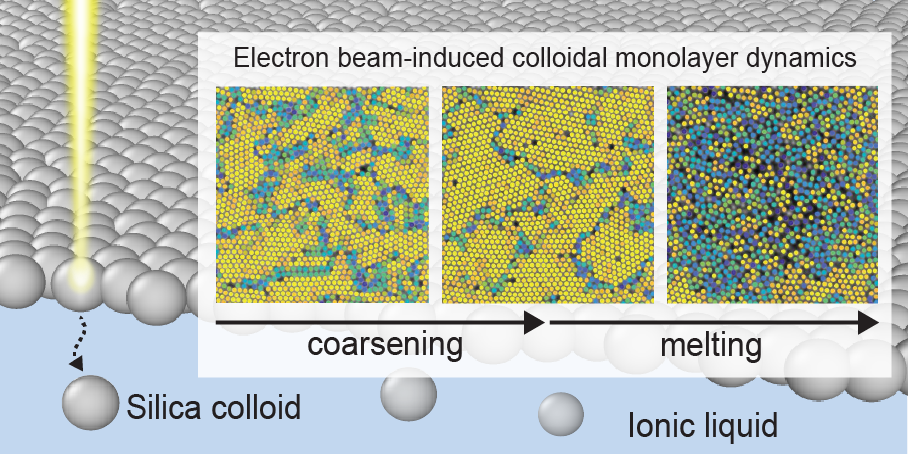 Charging-driven coarsening and melting of a colloidal nanoparticle ...
