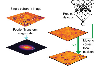 Deep Learning for Single-Shot Autofocus Microscopy – STROBE