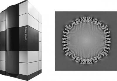 Research Capabilities – STROBE